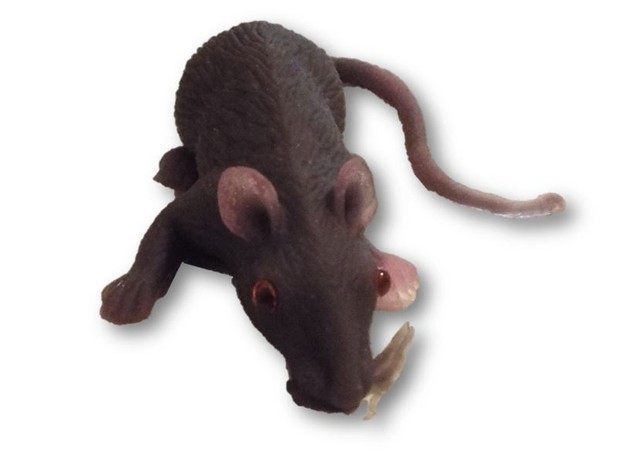 Loftus Realistic Fake Mouse Prank 35 Decoration Prop Grey for sale ...