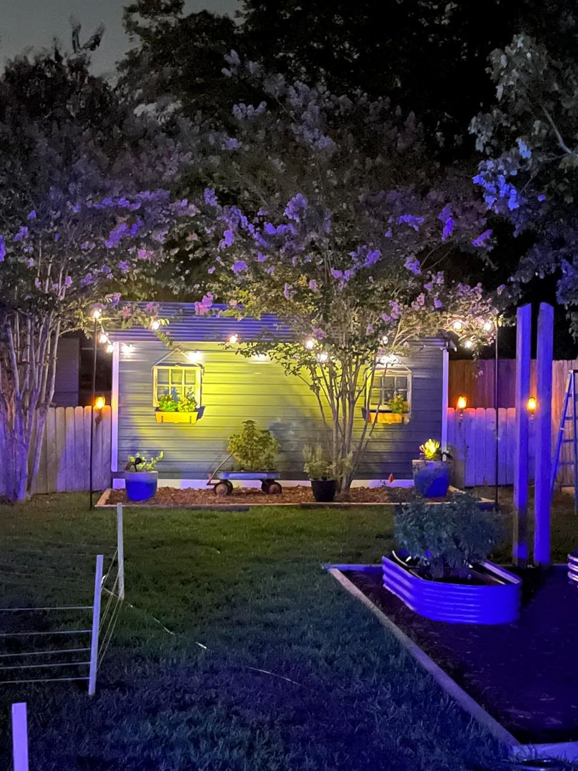 Brightech Ambience Pro Solar Powered Outdoor String Lights - 27 Ft. (12 ...