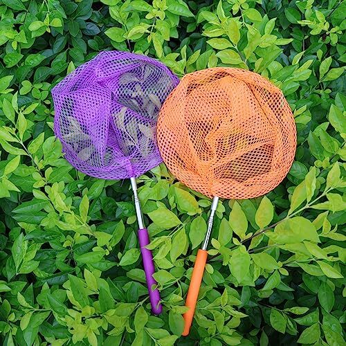 2 Pack Insect Catching Nets, Telescopic Stainless Steel Pole, Fishing ...