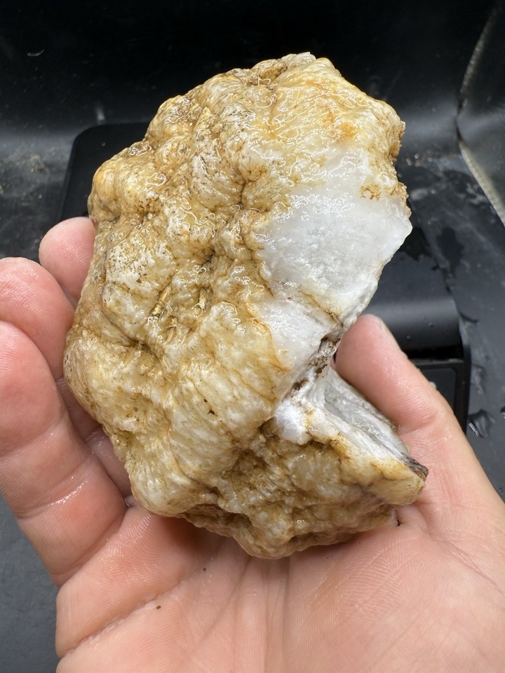 Fossilized Indiana Geode Crystal Agate Crinoid 2,795 Carats | eBay