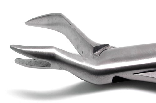 Buy Set of 2 Dental Forceps 88L & 88R Molar Tooth Extracting Surgical ...