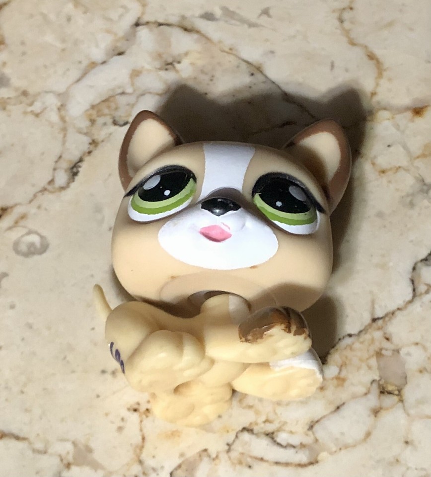 Authentic Littlest Pet Shop Rare #1878 Petriplet Puppy🐾 | eBay