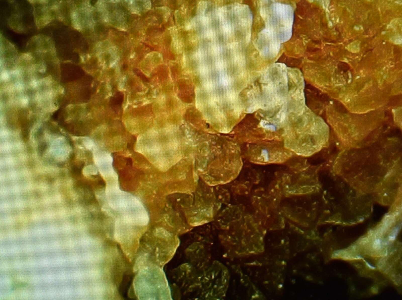 Golden Drusy Crystal Brain Geode North Carolina on Display Carved Wood ...