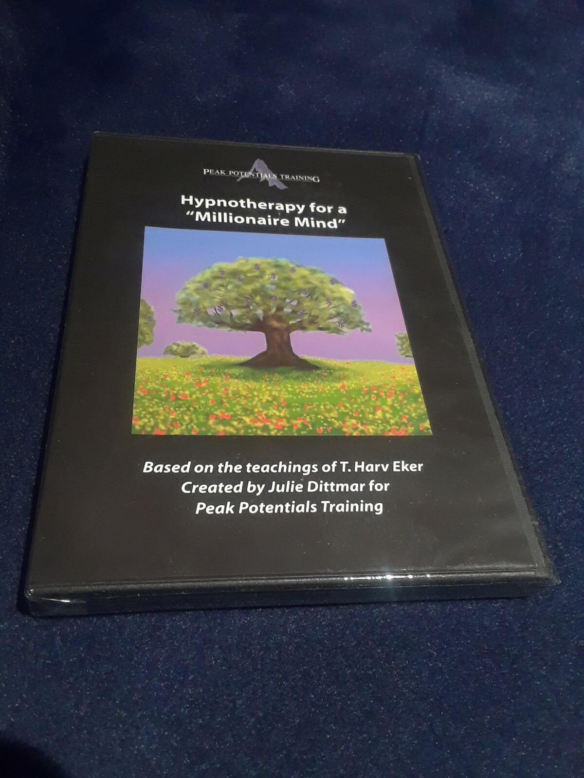 Hypnotherapy For A "Millionaire Mind" PEAK POTENTIALS TRAINING | eBay