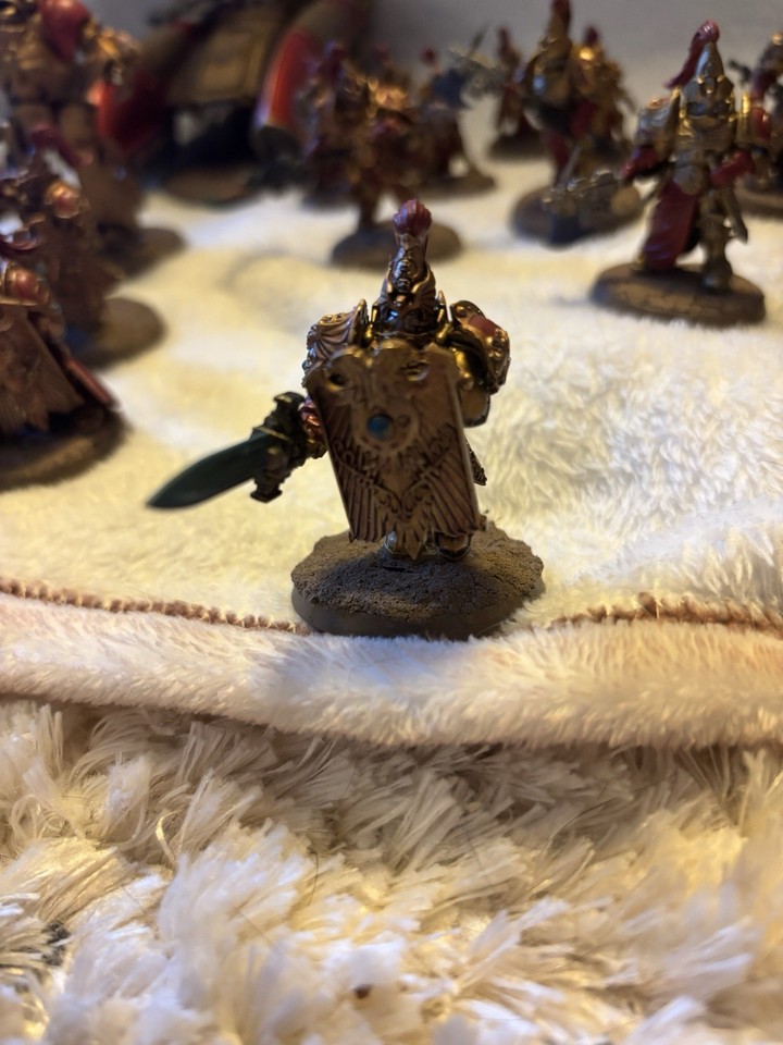 Pro Painted Warhammer 40k Adeptus Custodes Army Fully Painted And Based ...