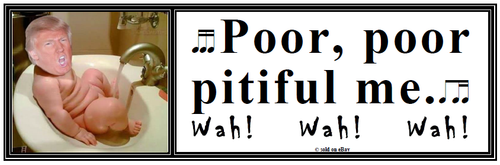 anti Trump: "POOR, POOR PITIFUL ME. WAH! WAH! WAH!" humorous political sticker | eBay