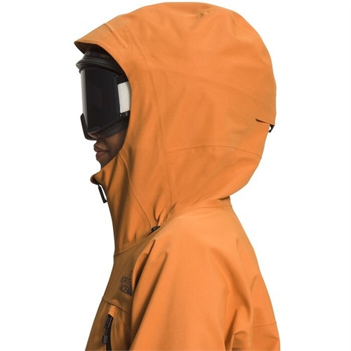 NWT Womens The North Face Ceptor 3L Waterproof Hooded Ski Shell Jacket ...