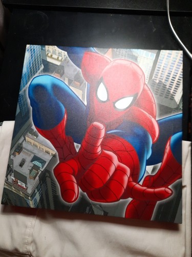 Marvel Spider Man 12x12 canvas wall art, spidey in your face | eBay