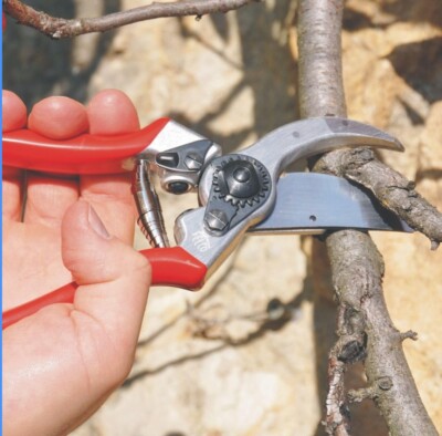 Felco 2 Classic High Performance Pruning Shears Swiss Made Hand Pruner ...