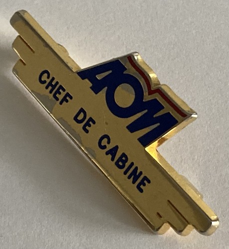 AOM FRENCH AIRLINES STEWARDESS CABIN CREW UNIFORM WING BADGE 1990s | eBay