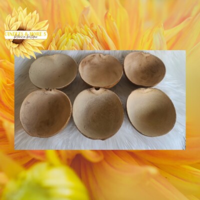 Jicaras para Moyumba Orisha Santo Misa Mayombe Religion Yoruba IFA ...