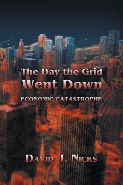 The Day the Grid Went Down von David J. Nicks (2013, Taschenbuch ...