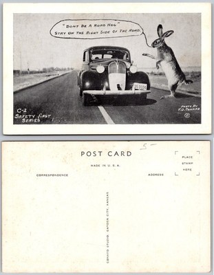 Exaggeration Giant Jackrabbit Car Road Safety Humor Postcard | eBay