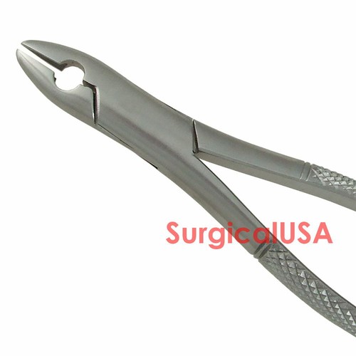Dental Extracting Forceps #1STD Serrated Beaks Dentist Surgical ...