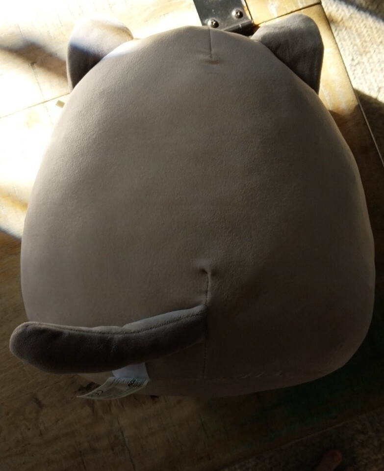 Squishmallows Felton The Siamese Cat 12” Plush Kellytoy 191726477884| eBay