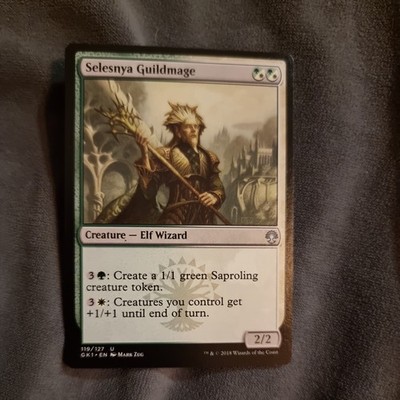 1x MTG Magic The Gathering TCG Selesnya Guildmage - Guild Kit | eBay