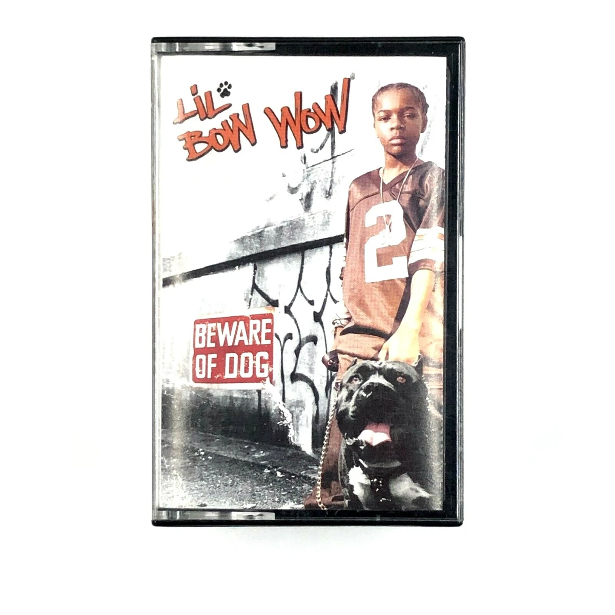Lil Bow Wow 2000