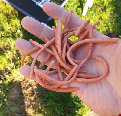 perch lure floating fake worms tench carp trout salmon bait 20pcs worm ...