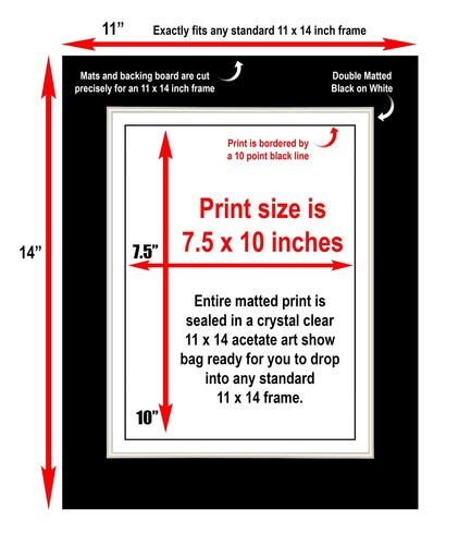 1952 MG TD Sports Saloon - Matted for 11x14 Frame | eBay