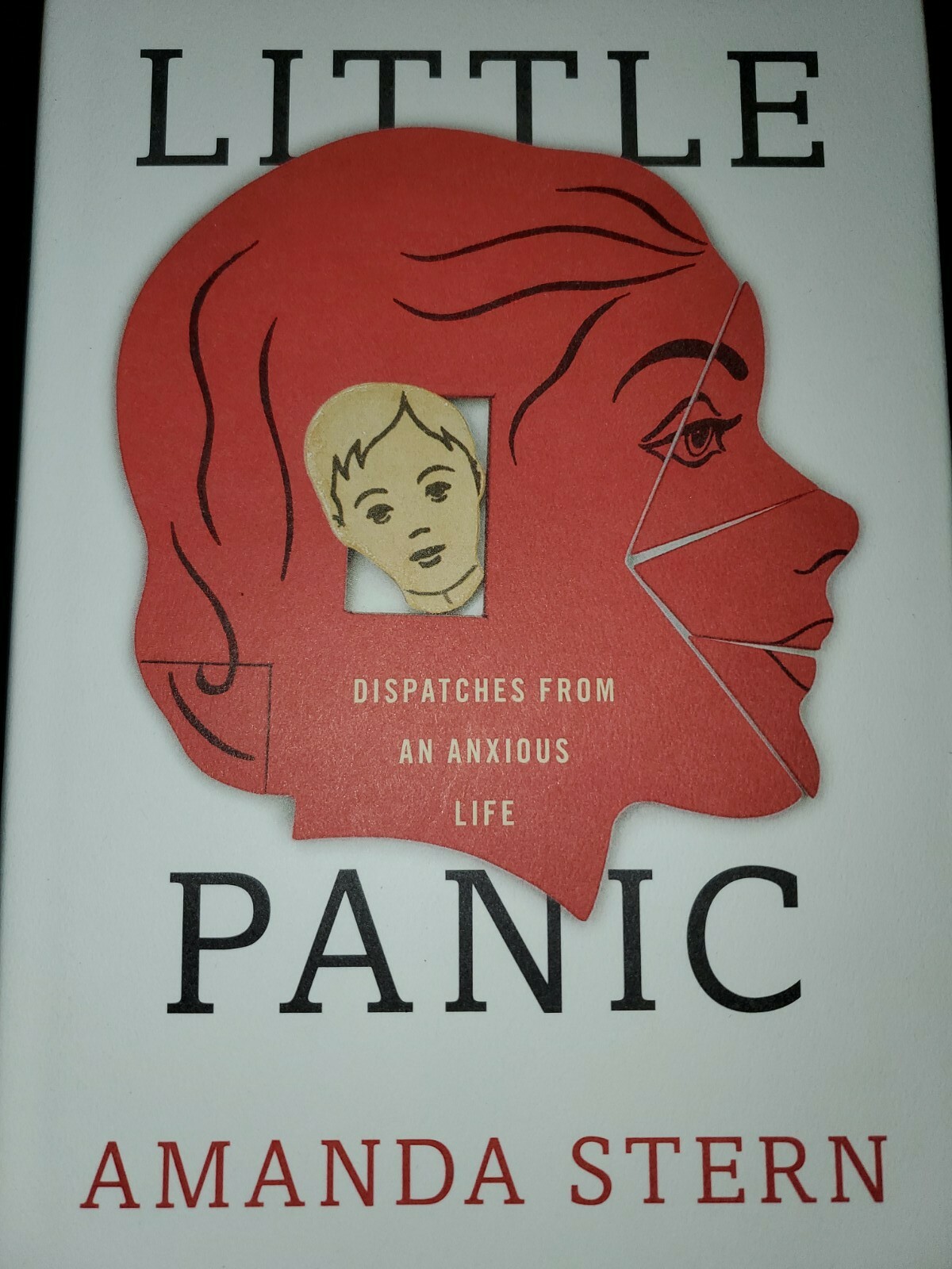 Little Panic: Dispatches from an Anxious Life by Amanda Stern Book The ...