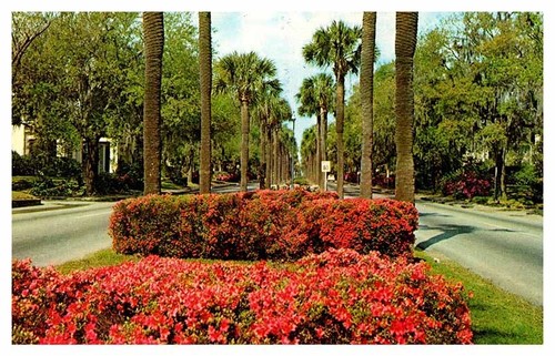 Postcard ROAD SCENE Savannah Georgia GA j/08 AT2164 | eBay