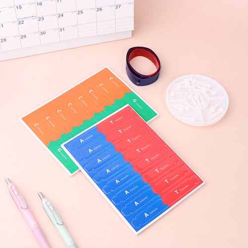 Human Genes DNA Models Double Helix Science Toys Teaching Learning ...