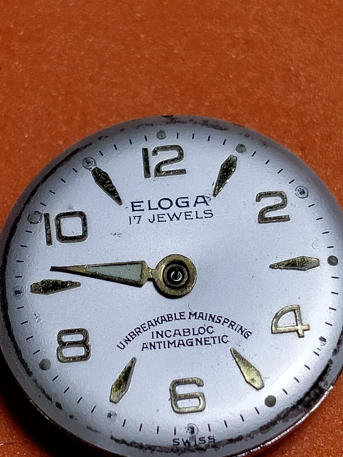 A.Schild AS 240 Watch movement. Suisse. Eloga Watch Co. Dial. | eBay