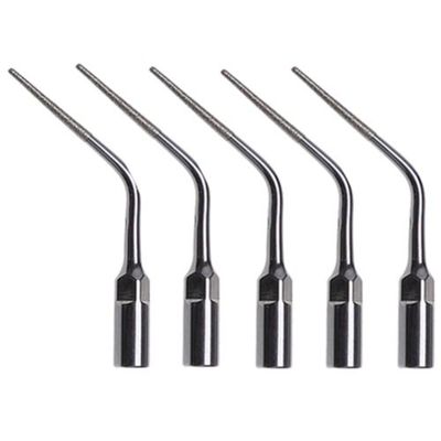 5x Dental Ultrasonic Scaler Endo Diamond Endodontic Tips E3D EMS ...