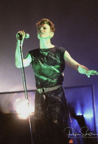 DAVID BOWIE in concert 1995! Set of 50 Rare LIVE PHOTOS! Wembley ...