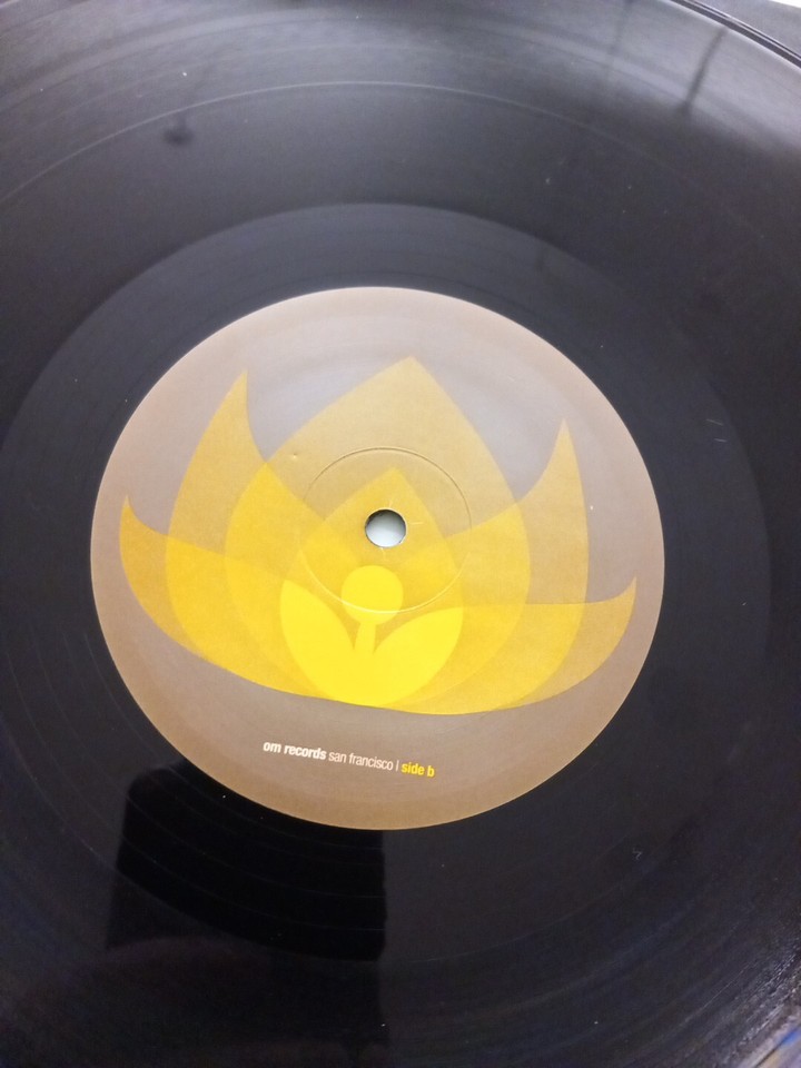 Samantha James Rise Part One 12 Inch Vinyl Record | eBay UK