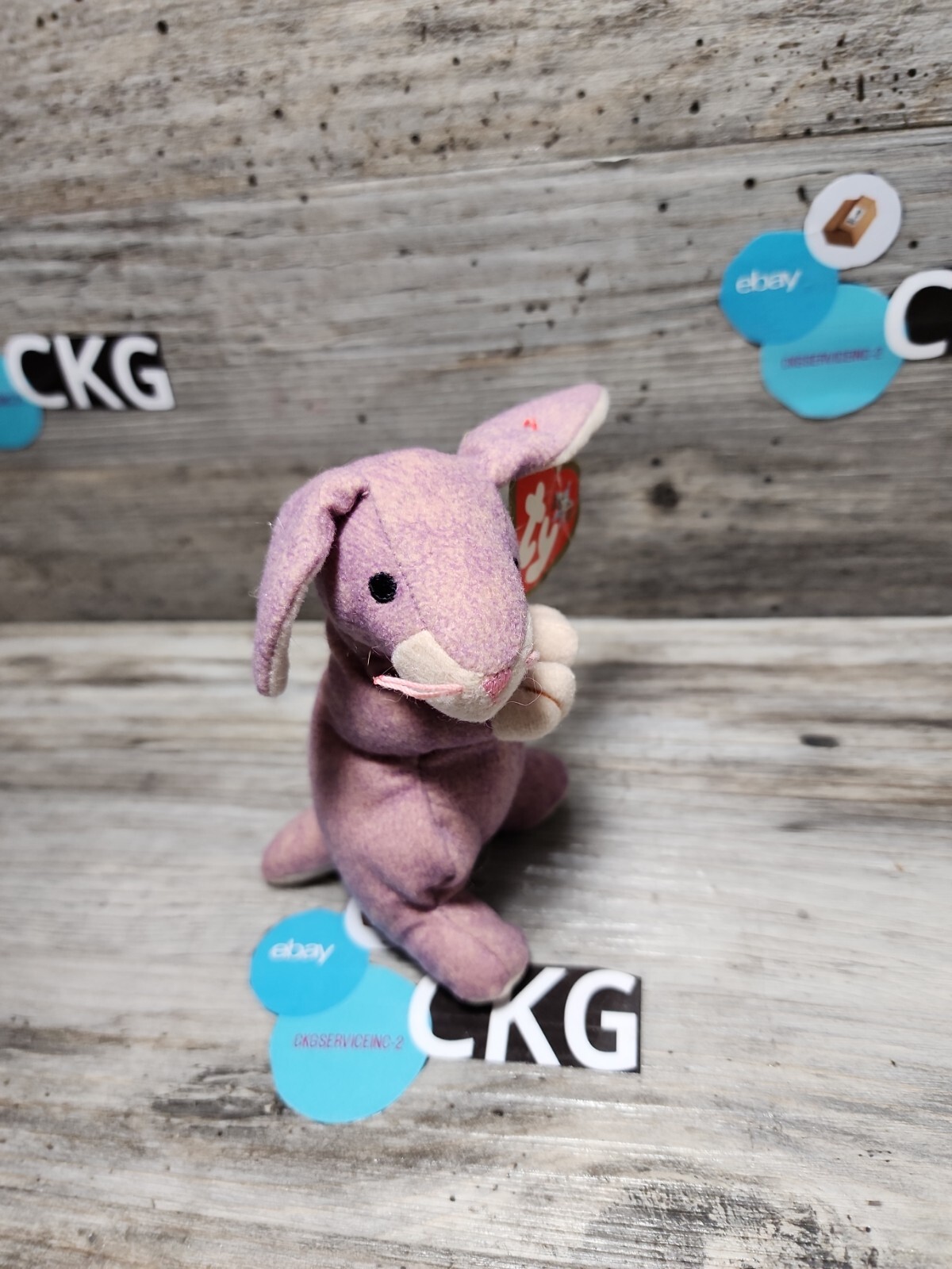 Ty teenie beanie babies: Springy The Lavender Bunny | eBay