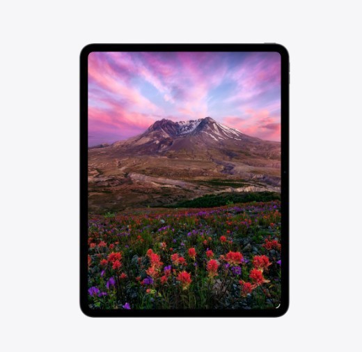 Apple iPad Pro 13-inch (M4) 256 GB, Wi-Fi + 5G, 13 in - Silver, Model ...