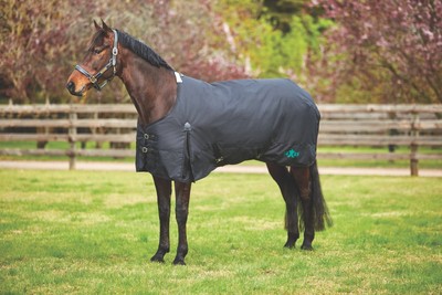 Saxon 1200D with Gusset Standard Neck II Turnout Blanket (300g Heavy ...