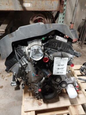 2019 Ford Raptor Engine 3111941