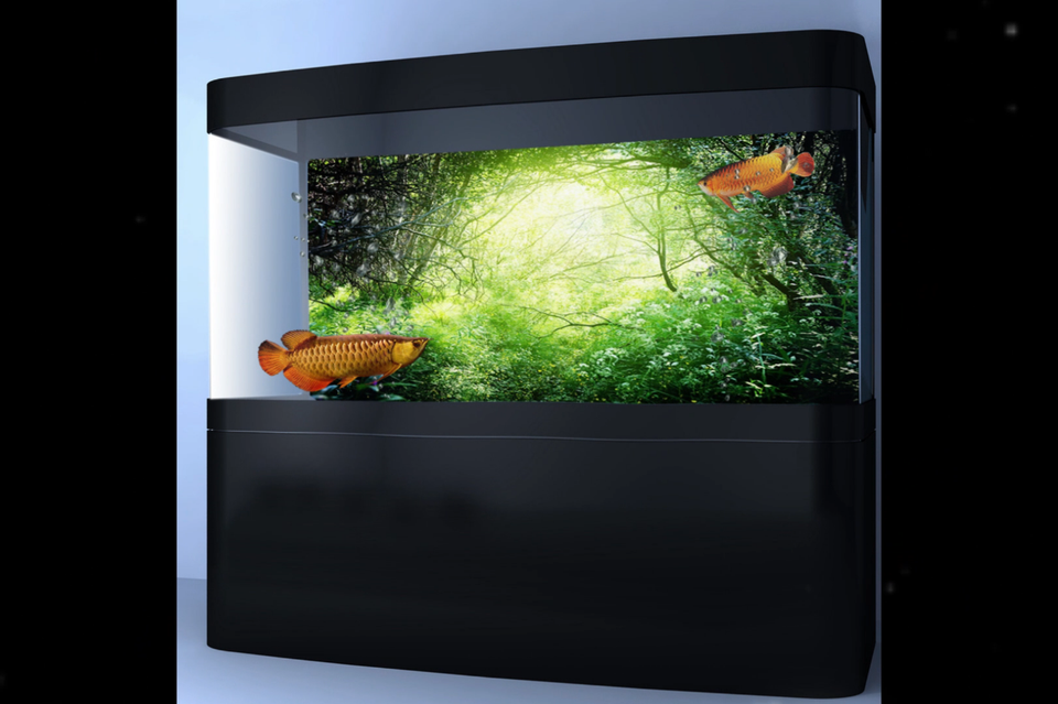 Forest Aquarium Background Poster HD Fish Tank Backdrop Electrostatic ...