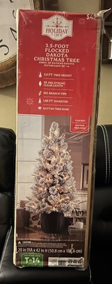 Christmas Trees | eBay