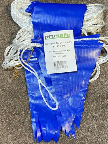 Bunting 30m Length Blue Flagging Safety Flags Prosafe | eBay Australia