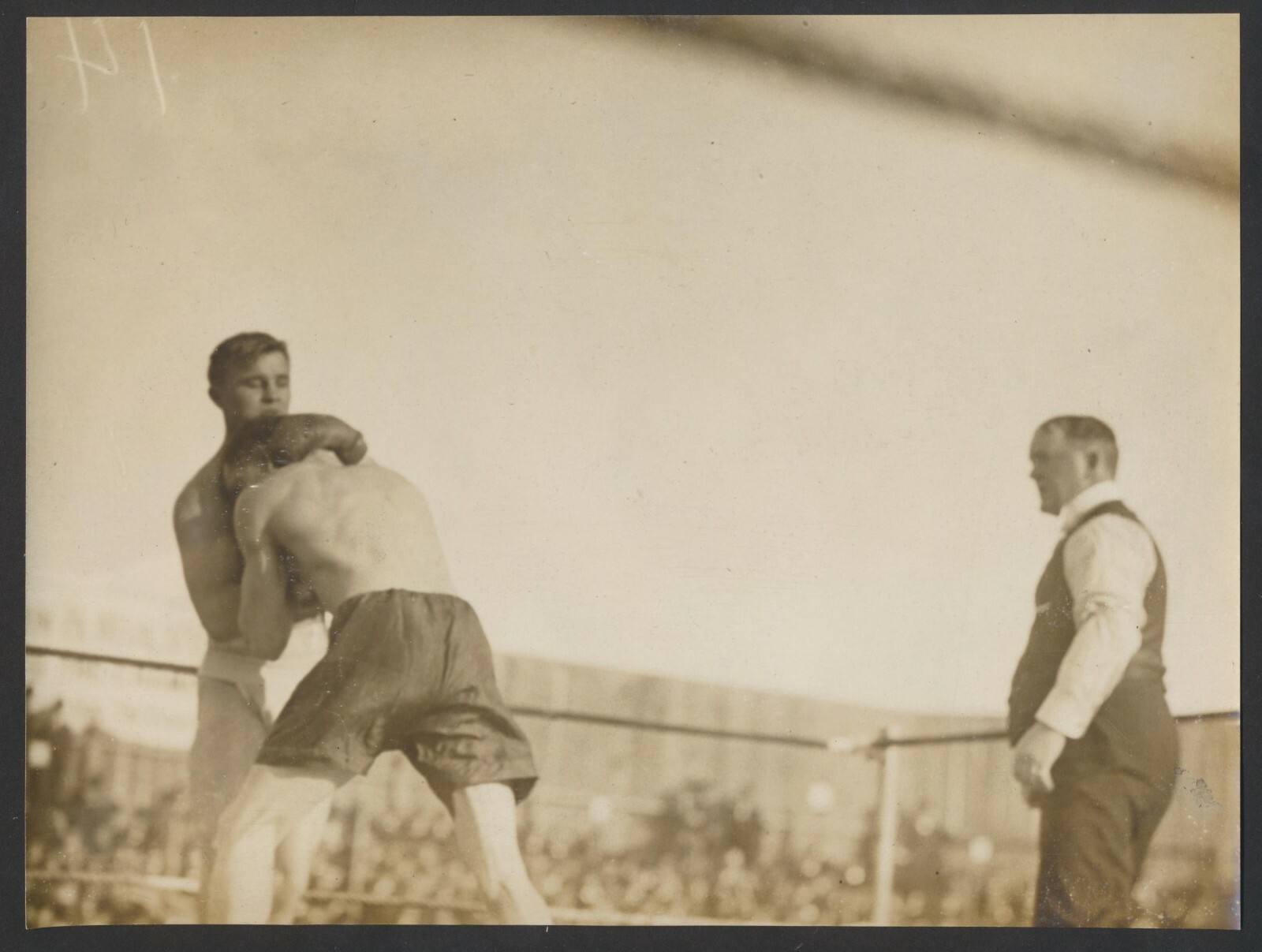 1908 STANLEY KETCHEL v. BILLY PAPKE DANA Ringside Action Boxing Photo ...
