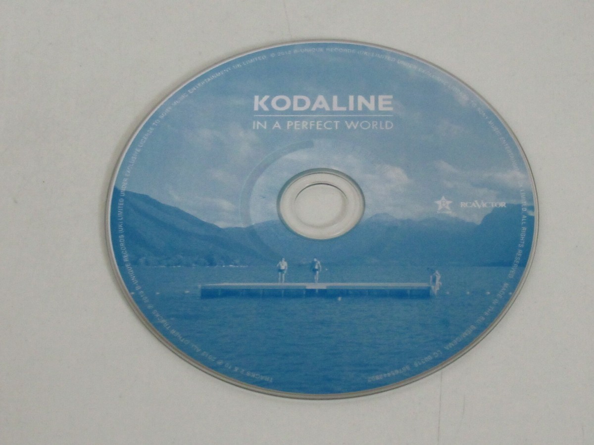 Kodaline In A Perfect World Cover