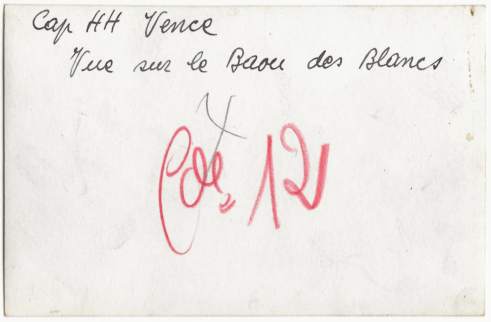 Plate Glass Photo Antique, Negative Black & White 9x14 CM, Vence ...