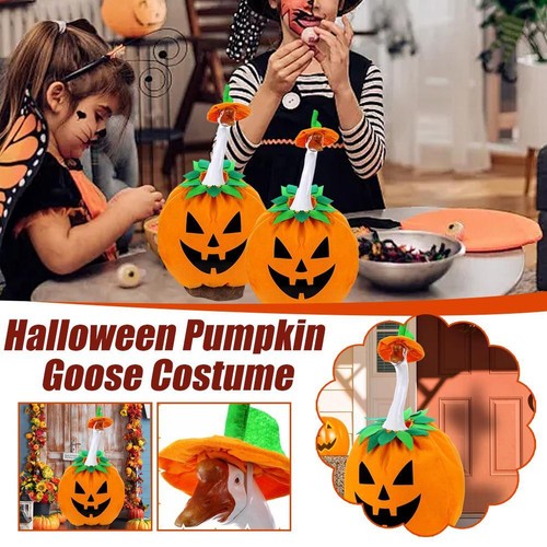 Fall Goose Outfit Lawn Porch Goose Cloths Candy, Pumpkin Costume I7X7 ...