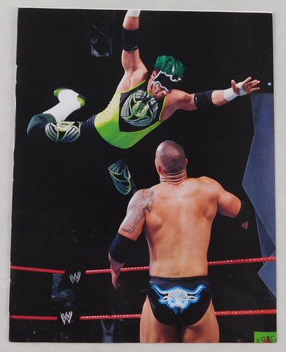 The Hurricane 8.5x11 WWF Wrestling Magazine Page The Rock WWE AEW ...