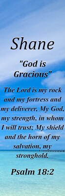 Shane "God is Gracious" Keepsake Name Meaning Bookmark with Verse and ...
