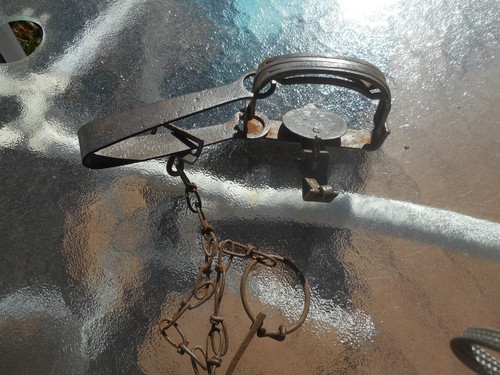 TRUE VALUE # 1 LONG SPRING VINTAGE TRAP | eBay