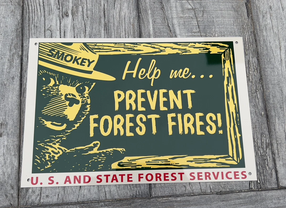 Prevent Forest Fires