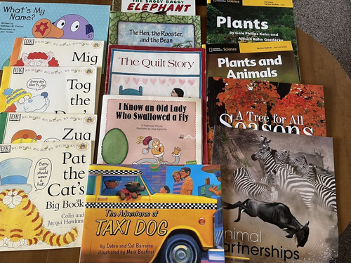 Lot of 14 Big Books Shared Reading Teacher Class Large DK & Other Pat ...