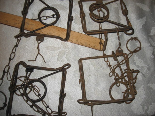 traps--110 conibear traps--4 total | eBay