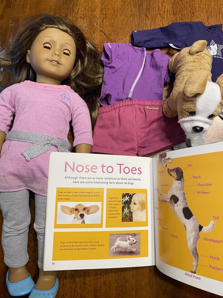 American Girl Truly Me Doll #31, Meatloaf The Dog, two outfits & Books ...