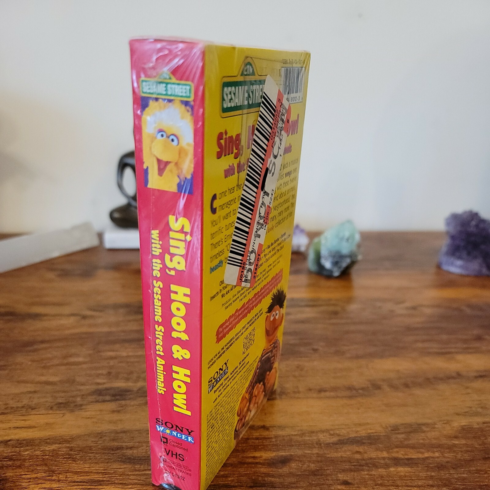 Sesame Street - Sing, Hoot Howl (VHS, 1991) for sale online | eBay