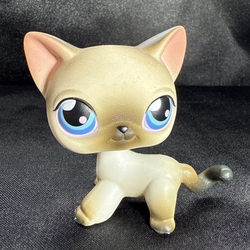 Authentic Littlest Pet Shop LPS # 005 Siamese Black White Shorthair Cat ...